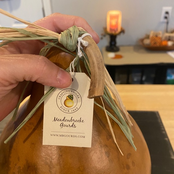 Meadowbrooke Gourds | Other | Meadowbrooke Gourd Pumpkin And Crow Gourd | Poshmark